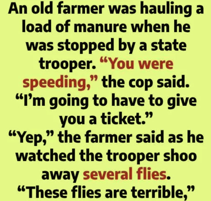 Why Flies Kept Circling an Old Farmer - Pizza Time