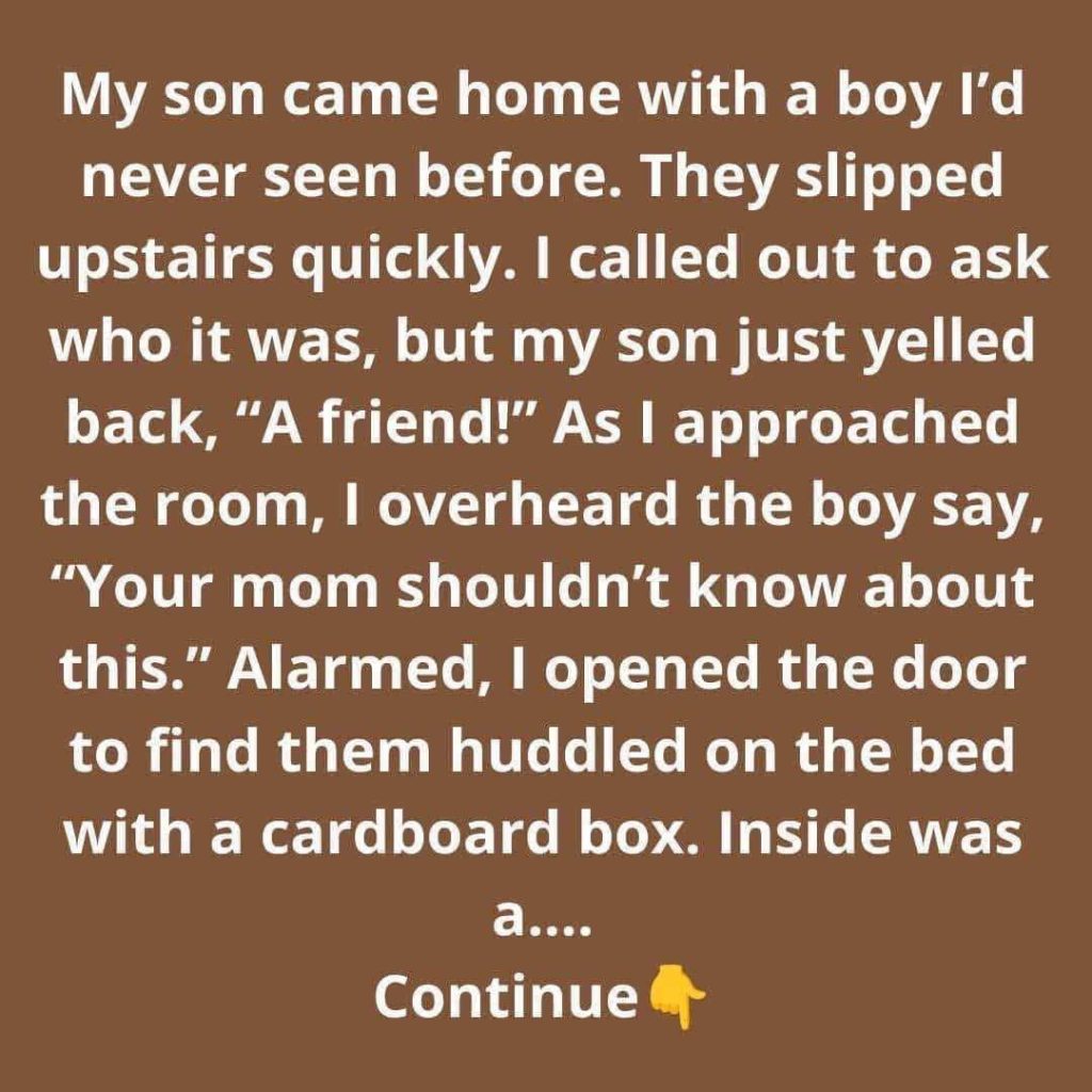 My Son Brought Home a Stranger — What I Found in the Box Changed ...